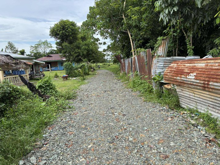 1,500 sqm Residential Lot For Sale in Ubay Bohol [Lots 🚜] (September ...