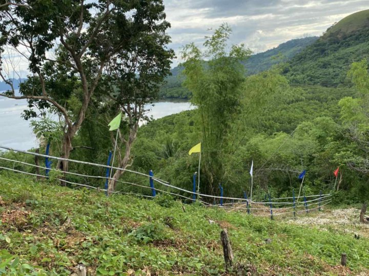 3000sqm.Raw Land For Sale in Coron [Lots 🚜] (September 2025) in Coron ...