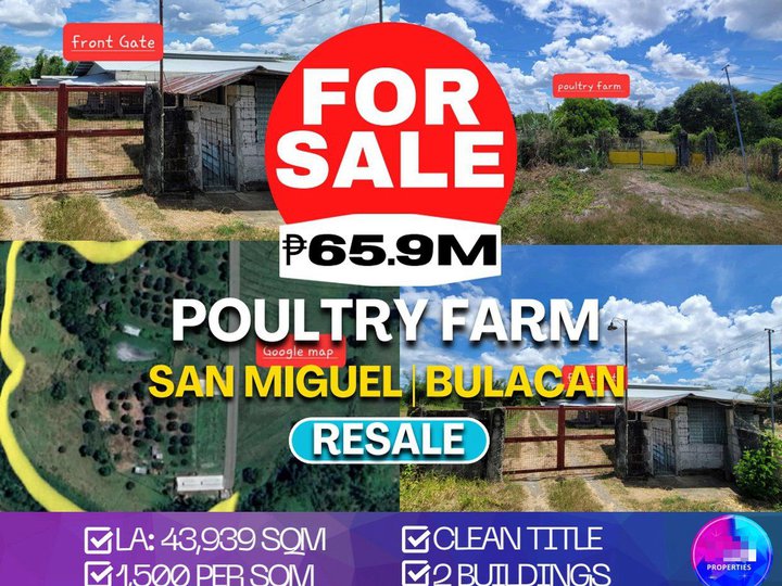 Poultry Farm 43,939 sqm clean title for sale in San Miguel, Bulacan ...
