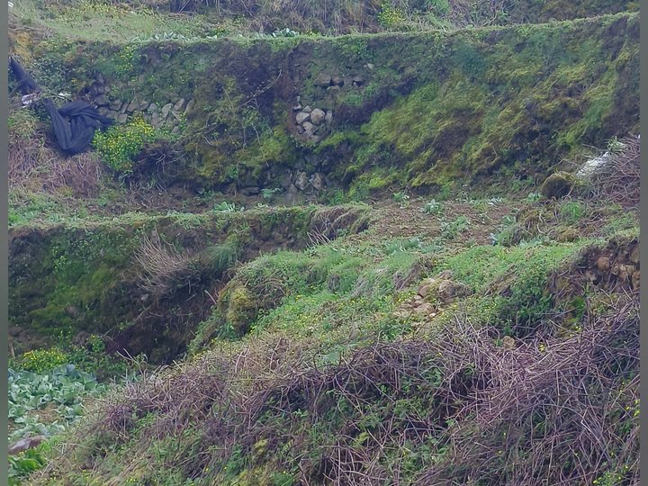 Subdivided lot for sale new open [Lots 🚜] (May 2026) in Atok, Benguet ...