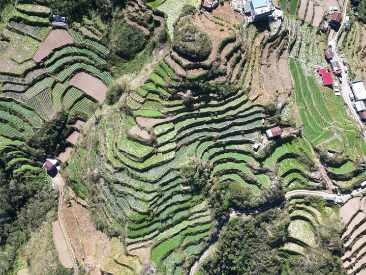 Farm lot selling into small cut [Lots 🚜] (May 2026) in Atok, Benguet ...