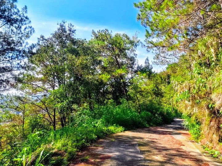 Titled Lot for Sale in Bakakeng, Baguio City - 155 sqm with Easy Access ...