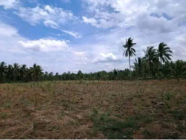5 hectares FARM LOT for sale [Lots 🚜] (December 2025) in Magpet ...