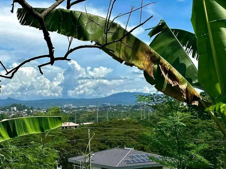 Monteritz high end Subdivision Lot Davao City. Message me MARIE CYLL ...