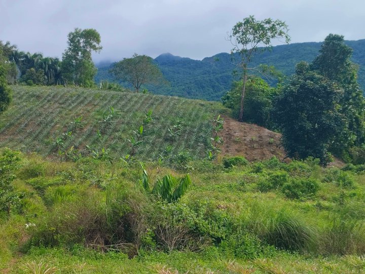 Residential farm lot,cash or installment [Lots 🚜] (January 2026) in ...