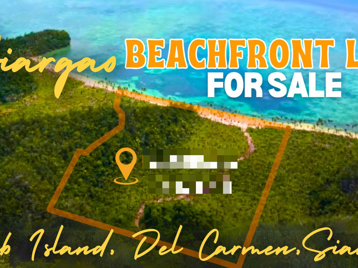 Beachfront Lot for Sale 5.4 Hectares Near Sugba Lagoon, Caub Island ...