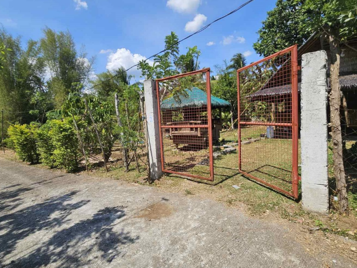 Agri-Residential Farm Lot in Alfonso, Cavite [Lots 🚜] (October 2025) in Alfonso, Cavite for sale