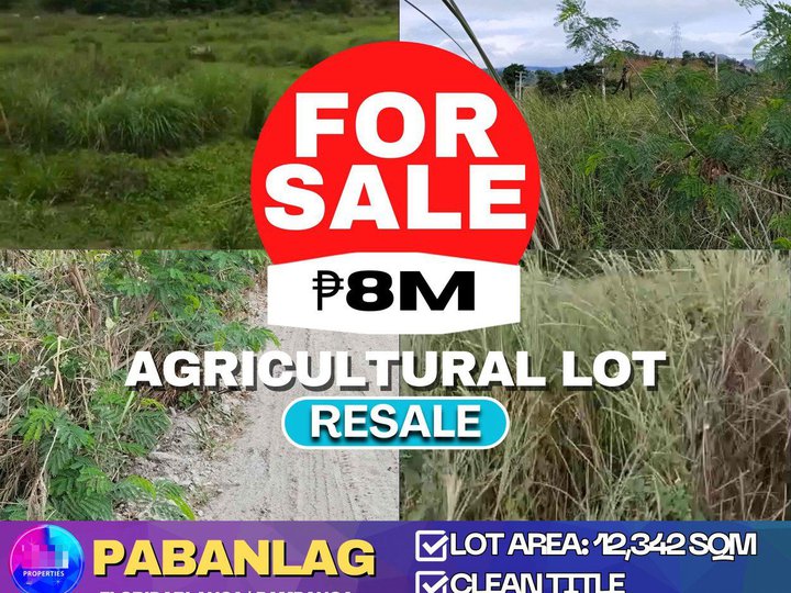 Agricultural Lot 12,342 sqm good for farm or residential for Sale in ...