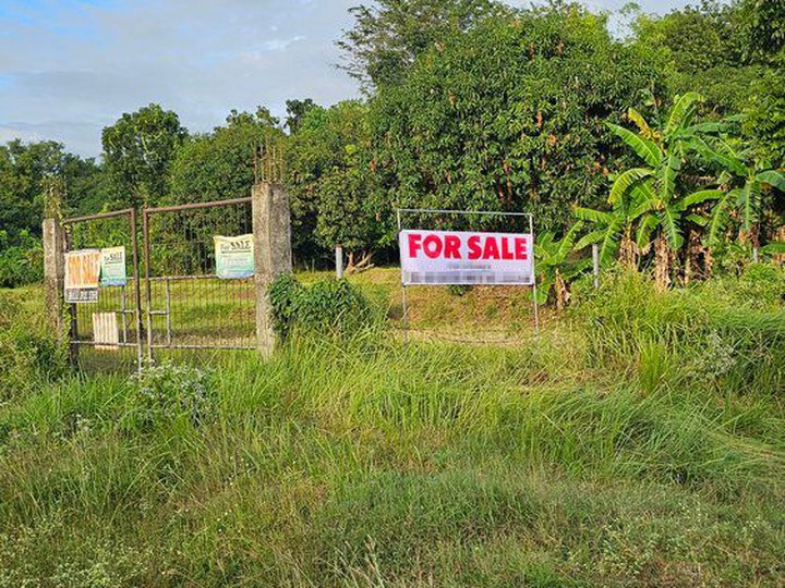 Rectangular lot property [Lots 🚜] (March 2026) in San Fabian ...