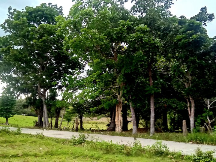 Near white beach farm, residential lot [Beach Properties 🏖️] (May 2025 ...