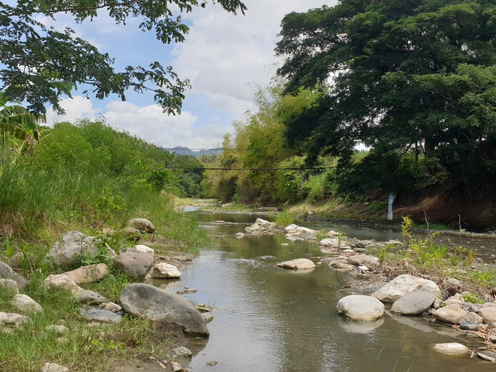 Riverside Farm Lot in Tubungan, Iloilo 4,232 sqm [Lots 🚜] (October 2025 ...