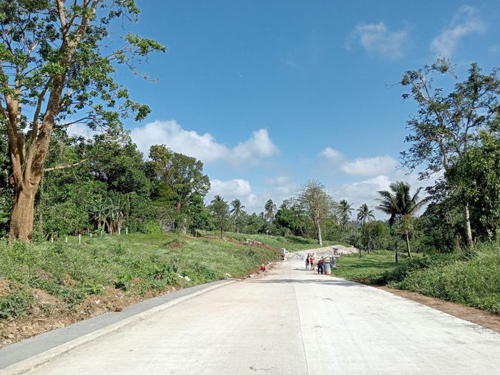 Agricultural farm lot for sale with good location [Lot 🚜] (September ...