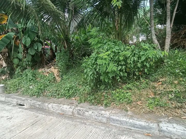 1.2M Ruby Subdivision Lot for sale Catalunan Grande Davao city [Lots 🚜 ...