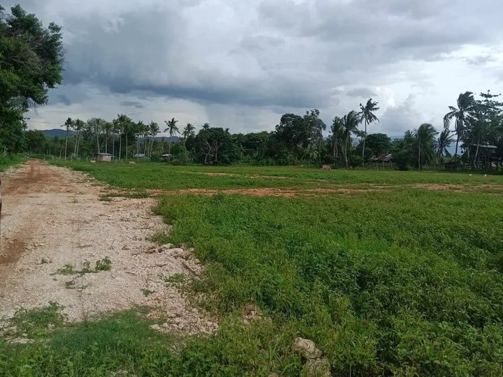 200 Sqm for Installment, 260k only. El Salvador City Misamis Oriental [Lots 🚜] (October 2025) in ...