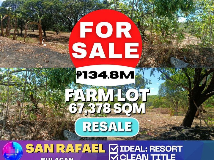 Farm Lot 6.74 Hectares ideal for Resort and Warehouse for Sale in San ...