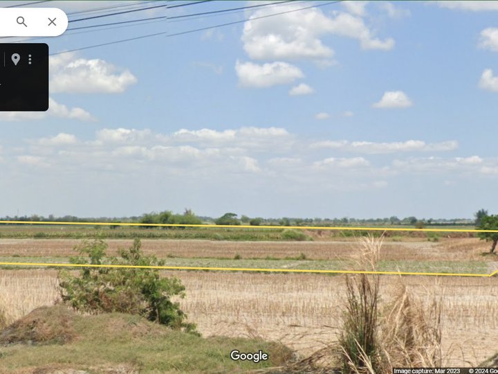 Tarlac Farm Lot 7.8 Has Near SCTEX, Great for Crop & Livestock Farming ...