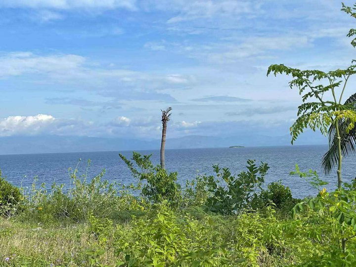 Badian Island Beach Lot Half Hectare 60m frontage Pescador Resort ...