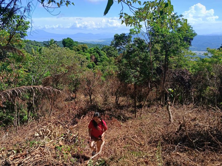 I'm selling residential farm lot,flat/overlooking 500sqm 750T 10%dp ...