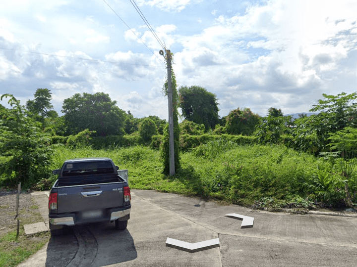 FOR SALE: 278 sqm Residential Lot at Pueblo San Ricardo Subdivision ...
