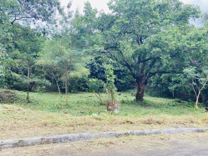 720 sqm Residential Lot For Sale in Antipolo Rizal [Lots 🚜] (September ...