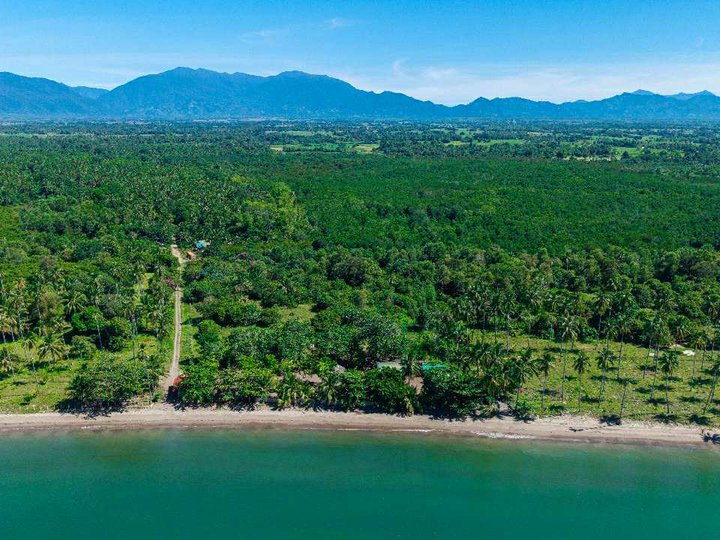 Beach Lot Property For Sale in Palawan near Puerto Princesa [Beach ...