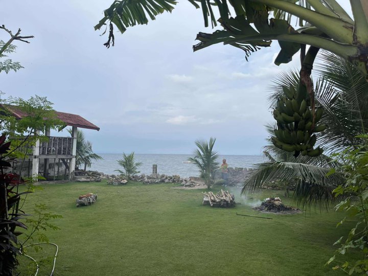 P13M (Nego) - Beachfront Dream: 1,500sqm Lot & Native House in Catmon ...