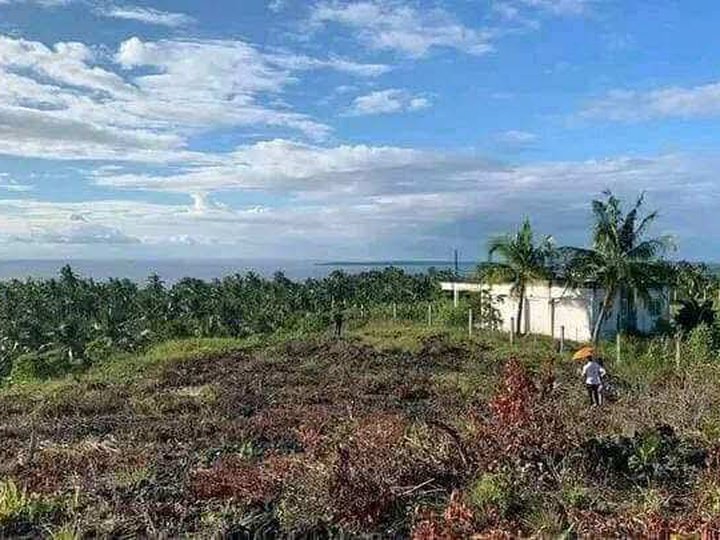 500 sqm Residential Lot For Sale in Loon Bohol [Lots 🚜] (March 2026) in ...