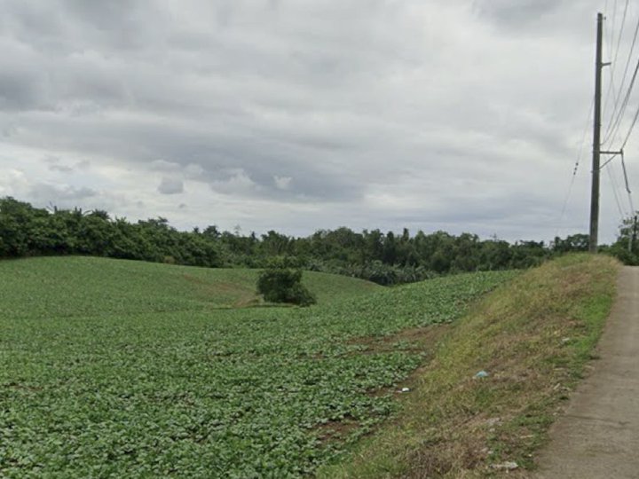 166 sqm Elevated Lot in Crescela Nuvali with Spacious Views and ...