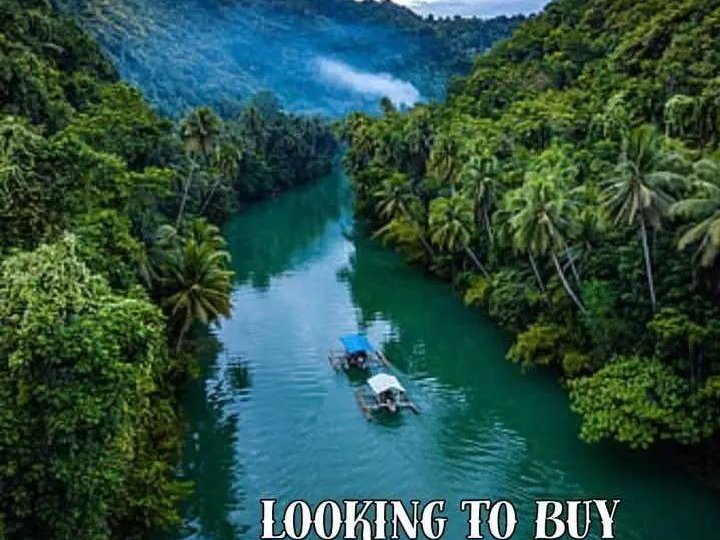 For Sale Overlooking Prime Raw Land 2,000 sqm in Loboc, Bohol [Lots 🚜 ...