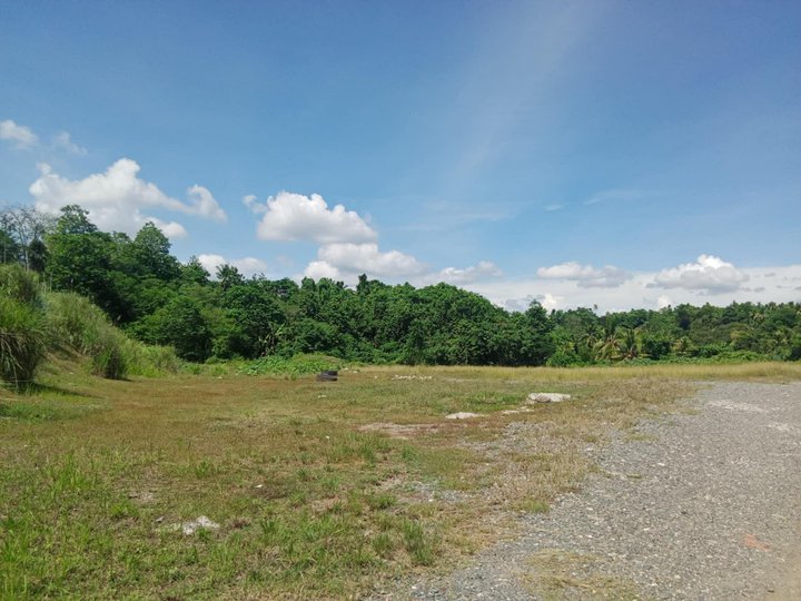 2 hectares Agro-Industrial Farm For Sale in Davao City [Lots 🚜 ...