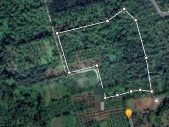 4.3 hectare residential farm for sale in Alfonso cavite [Lots 🚜 ...
