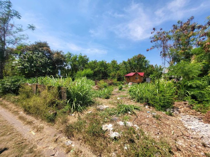 Empty lot 946 sqm rectangular shape higher elevation than the road with ...