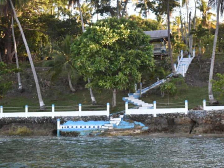 Pre-Owned 1.5 hectares Beach Property For Sale in Talicud Island, Samal ...