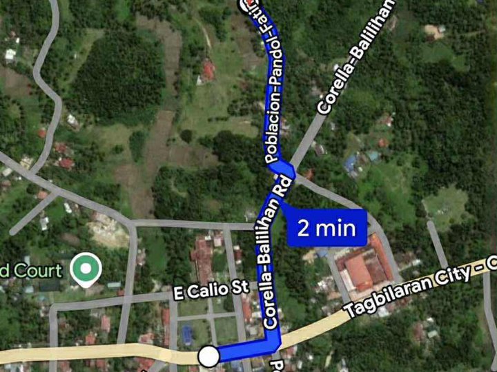 300 sqm Residential Lot For Sale in Corella, Bohol! [Lots 🚜] (January ...