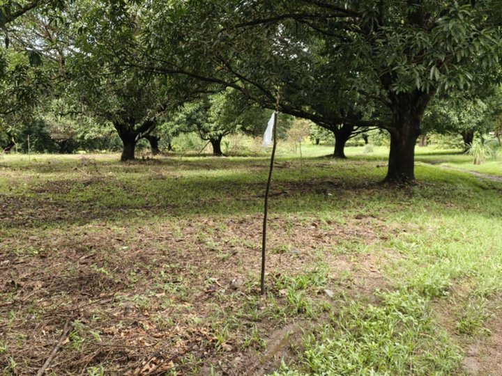 100 sqm Residential Farm For Sale in Angat Bulacan [Lots 🚜] (March 2026 ...