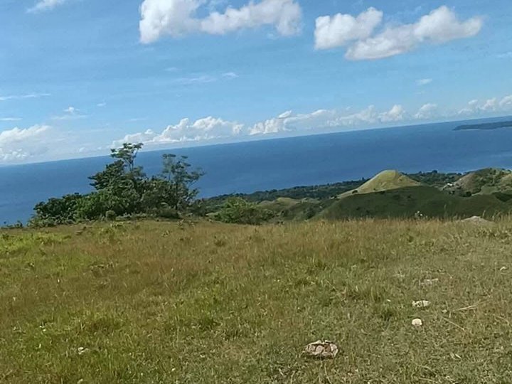 4.7 hectares Farm Lot For Sale in Guindulman Bohol [Lots 🚜] (January ...