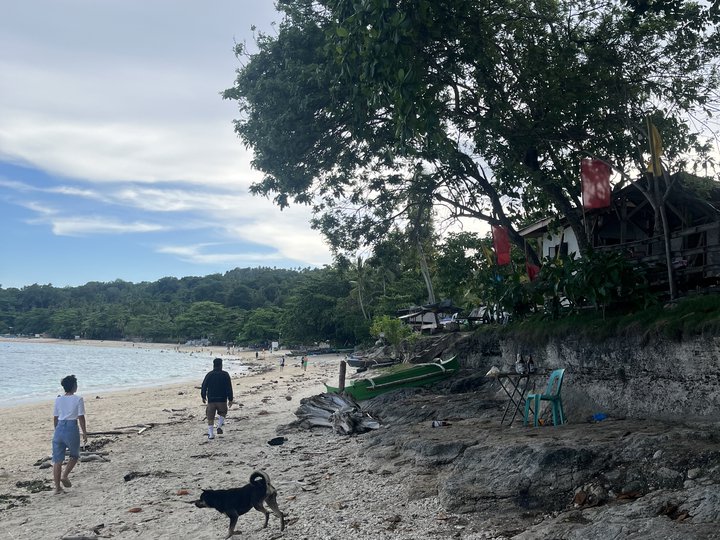 1.5 Hectares Beachfront Property For Sale In Samal Island [Beach Properties 🏖️] (June 2025) in ...