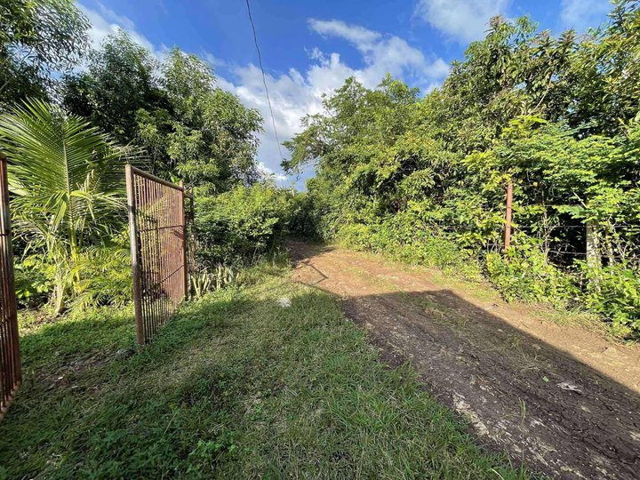 Resendial lot near in resort /Hotel [Lots 🚜] (January 2026) in Panglao ...
