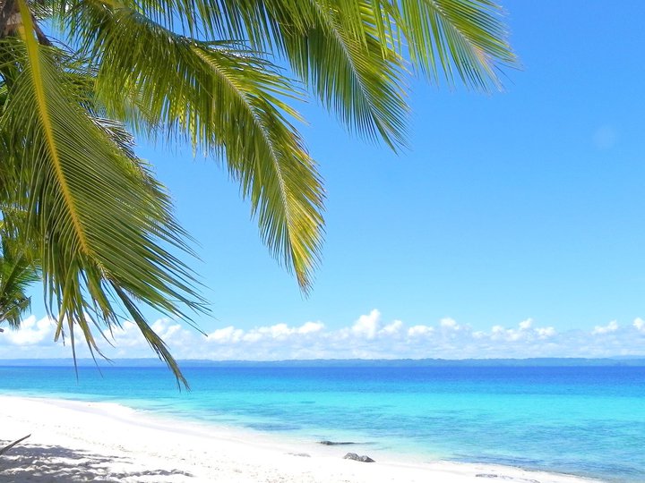 Ready For Occupancy 6.67 hectares Beach Property For Sale in Ivana ...