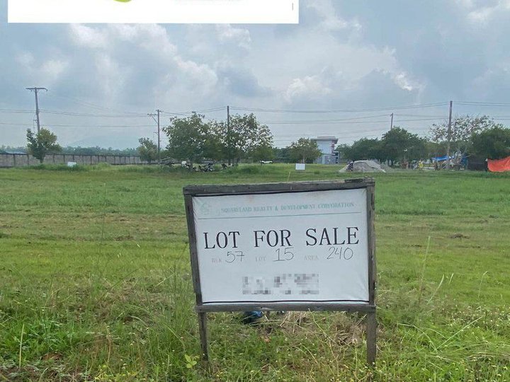 240sqm • Estate Residential Lot For Sale Blk57 Lot15, San Agustin [Lots ...