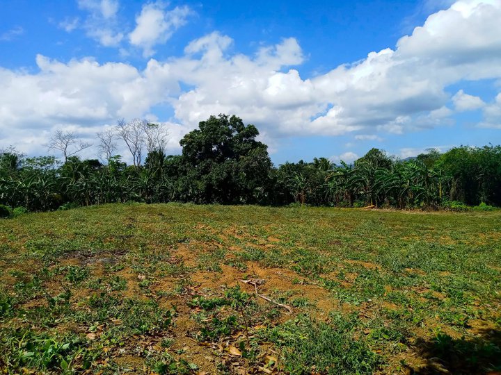 For Sale! Farm Lot in Caluangan Magallanes Cavite [Lots 🚜] (December ...