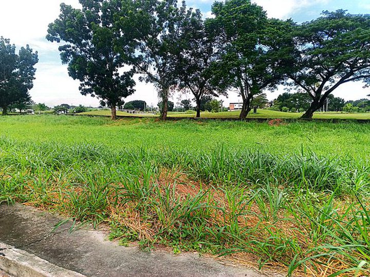 Beverly Place Phase 8 Fairway Lot 602 sqm in Mexico Pampanga [Lots 🚜 ...