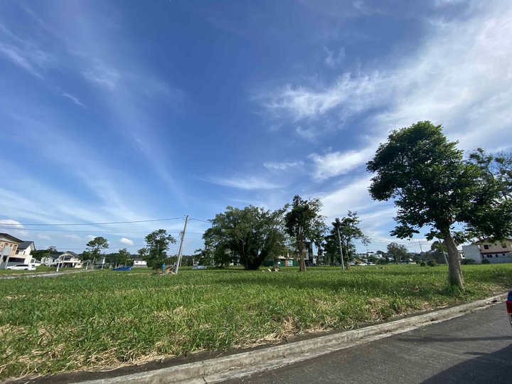 LOT FOR SALE MORNINGFIELDS CARMELTOWN CALAMBA LAGUNA [Lots 🚜] (October ...
