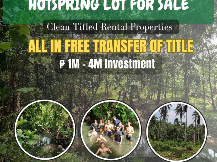 250 sqm Farm Lot For Sale in Calauan Laguna- INCOME GENERATING ...