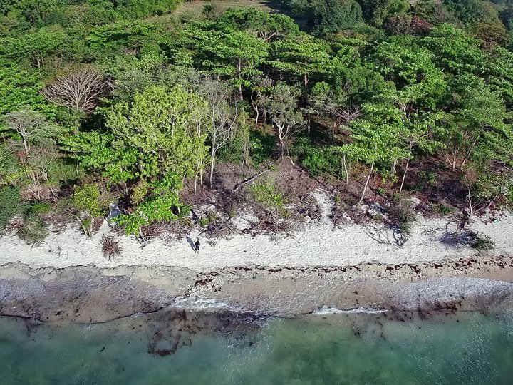 Prime 2,000 sqm Beachfront Property with Free Speed Boat [Beach ...