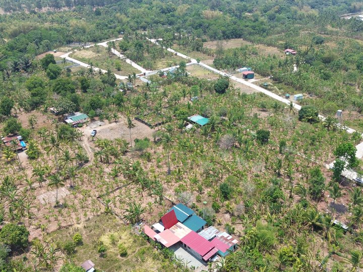 Farm Lot For Sale In Amadeo [Lots 🚜] (June 2026) in Amadeo, Cavite for sale
