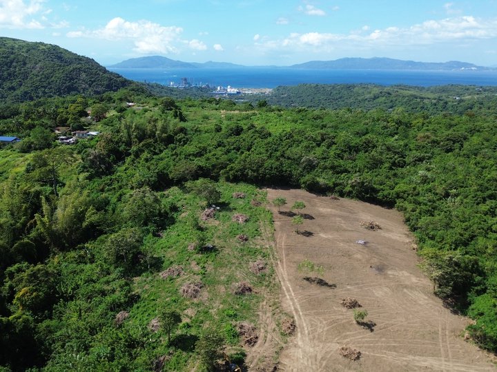 READY TO TRANSFER - 100 sqm Residential Farm For Sale in Batangas City ...