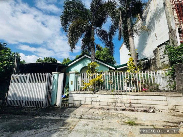 Bungalow for Sale in Executive Village 2 Camella Springville via Daang ...