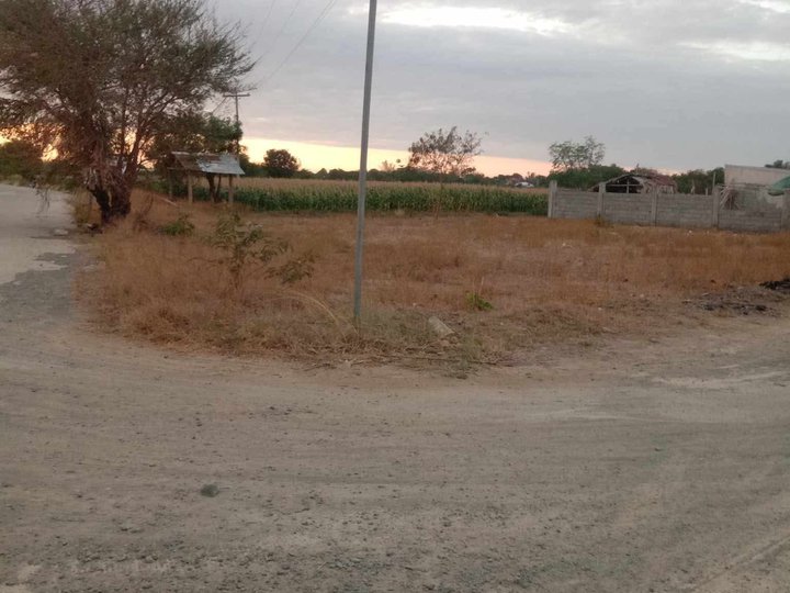 Clean Titled Residential Lot FOR SALE along Brgy road at Vigan City ...