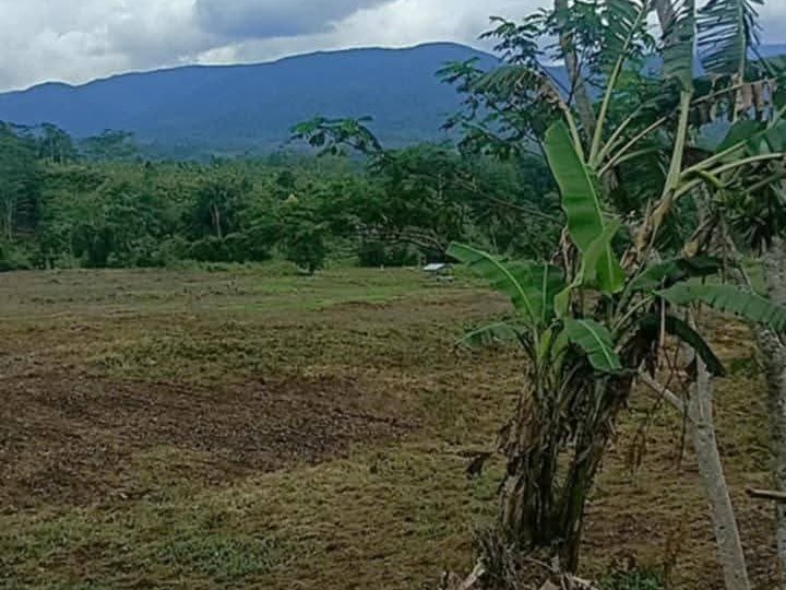 9 Hectares Farm Lot for Sale in Kulaman Malaybalay Bukidnon [Lots 🚜 ...
